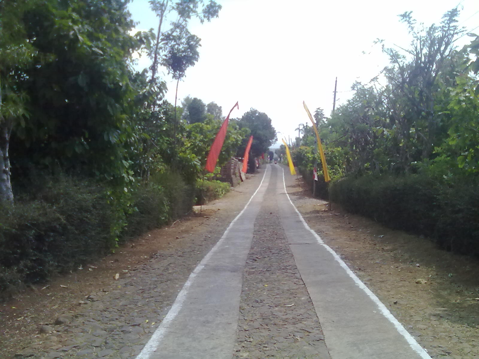 mashukyno insan ndeso: JALAN UTAMA GENDUNGAN RT 16 desaku tercinta